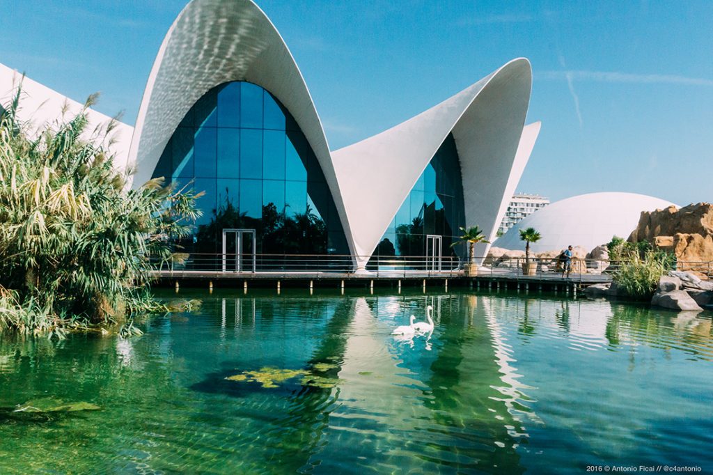 Oceanografic the largest aquarium in Europe - Valencia - Amazing Capitals